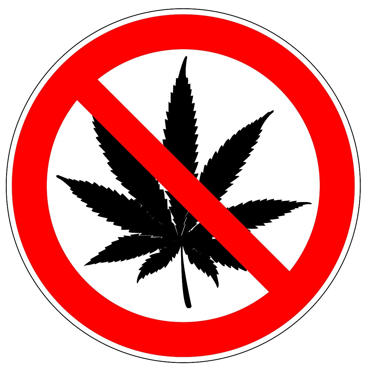 Riskante Kombination für Autofahrer: Cannabis und Medikamente ...